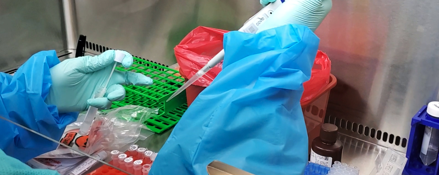 COVID-19 Testing Guide & FAQs